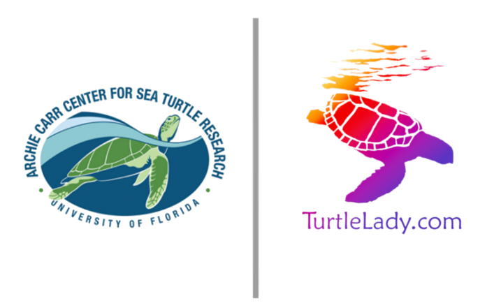 The Archie Carr Center For Sea Turtle Research – Turtle Lady Art