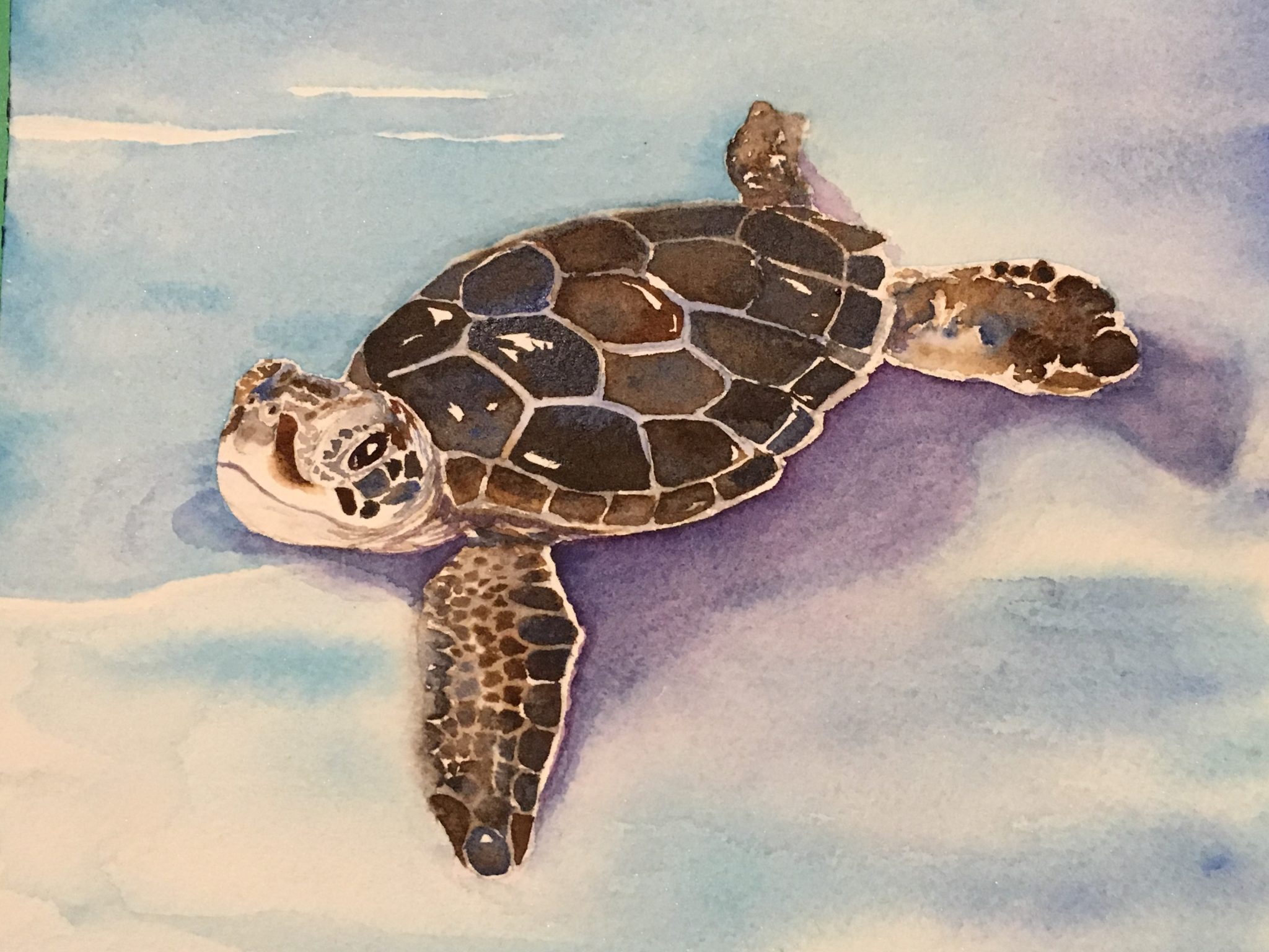 Sea Turtle Art – Turtle Lady Art